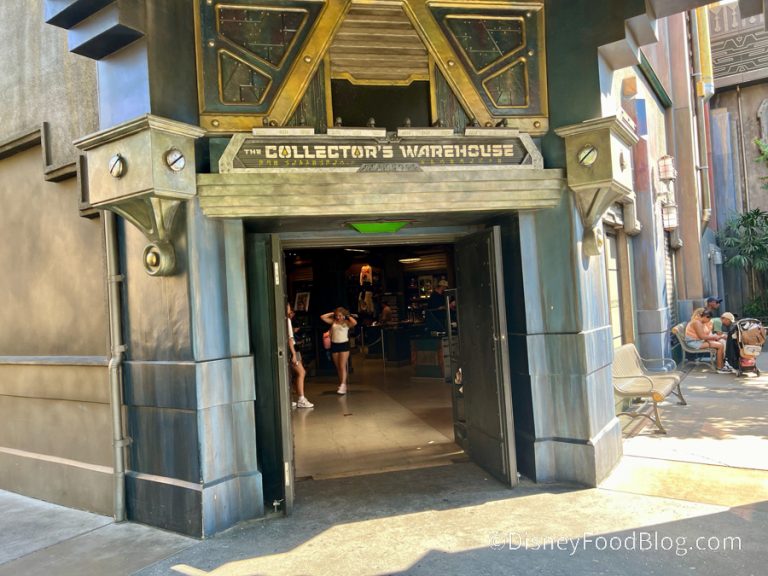 We Just Found the One Souvenir Disney Won't Overcharge You For | the ...