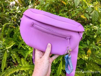 We Spent $49 On a Bag Full of Disney World Essentials — Was it Worth It ...