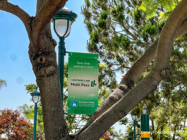 NEWS: Disney Announces CHANGES to Lightning Lane Premier Pass | the ...
