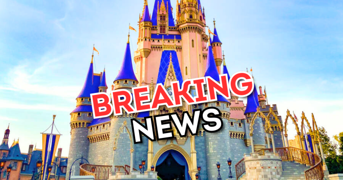 FIRST LOOK INSIDE Disney's NEW Tangled Ride: Rapunzel's Lantern ...