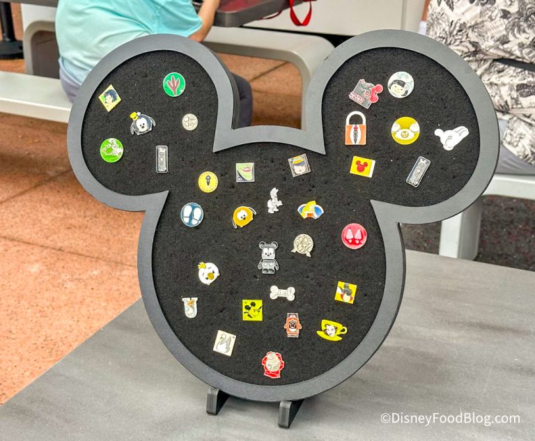 The NEW Essential Every Disney Pin Trader Is Buying From Amazon ...