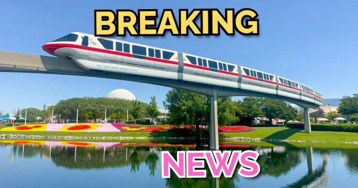 BREAKING: Fire, Black Smoke Seen Rising Behind EPCOT in Disney World ...