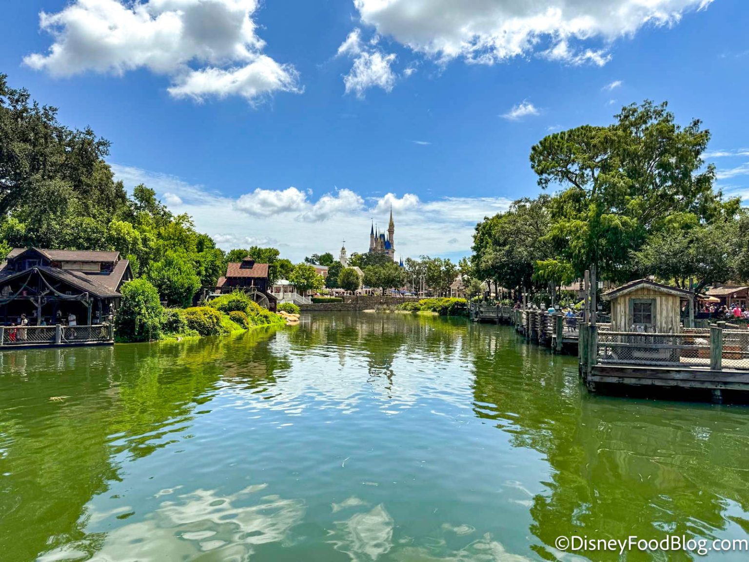 DFB Video: Latest Disney News: First Look at NEW Piston Peak Cars Area ...