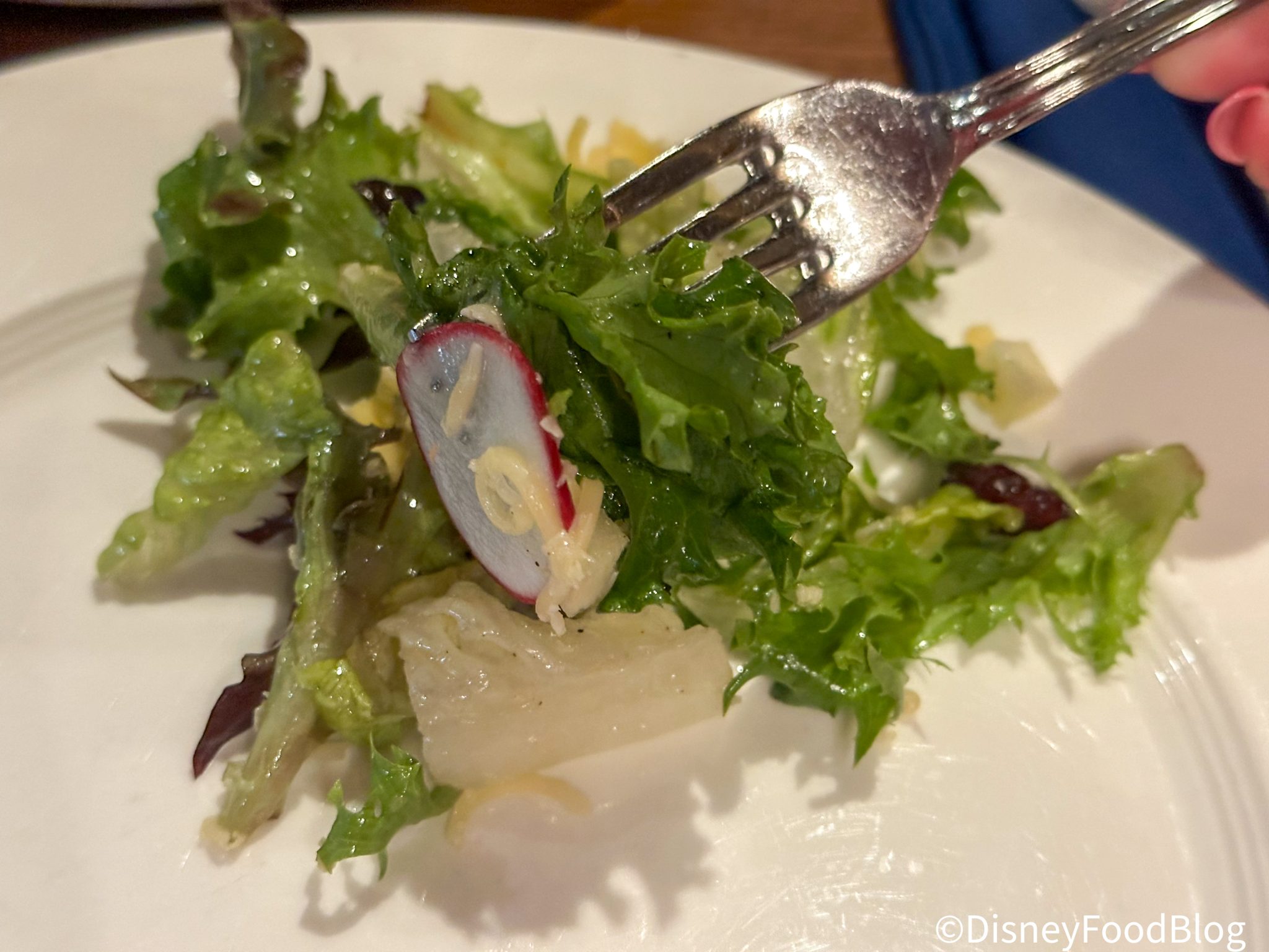 REVIEW: We Came to This Famous Magic Kingdom Restaurant for the Dessert ...