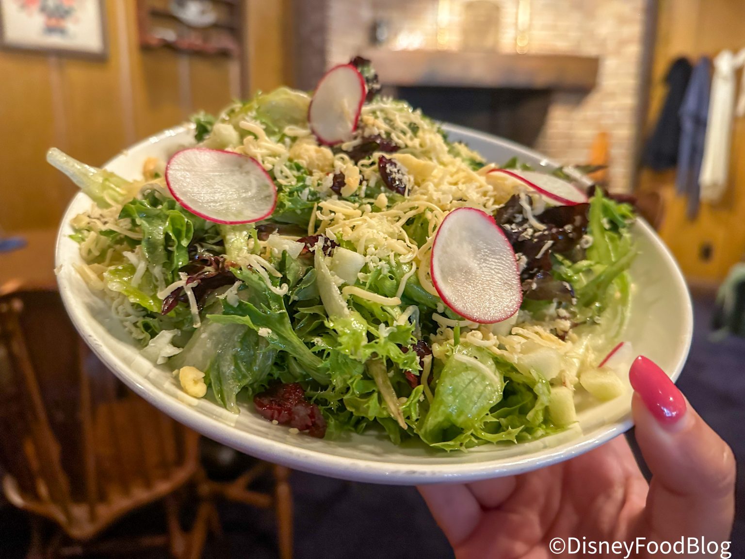 REVIEW: We Came to This Famous Magic Kingdom Restaurant for the Dessert ...