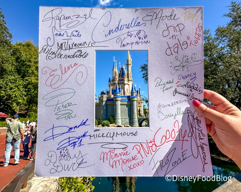 How To Score The Best Disney Character Autographs | the disney food blog