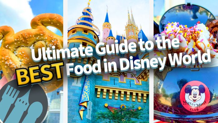 DFB Video: The Ultimate Guide to the BEST Food in Disney World | the ...