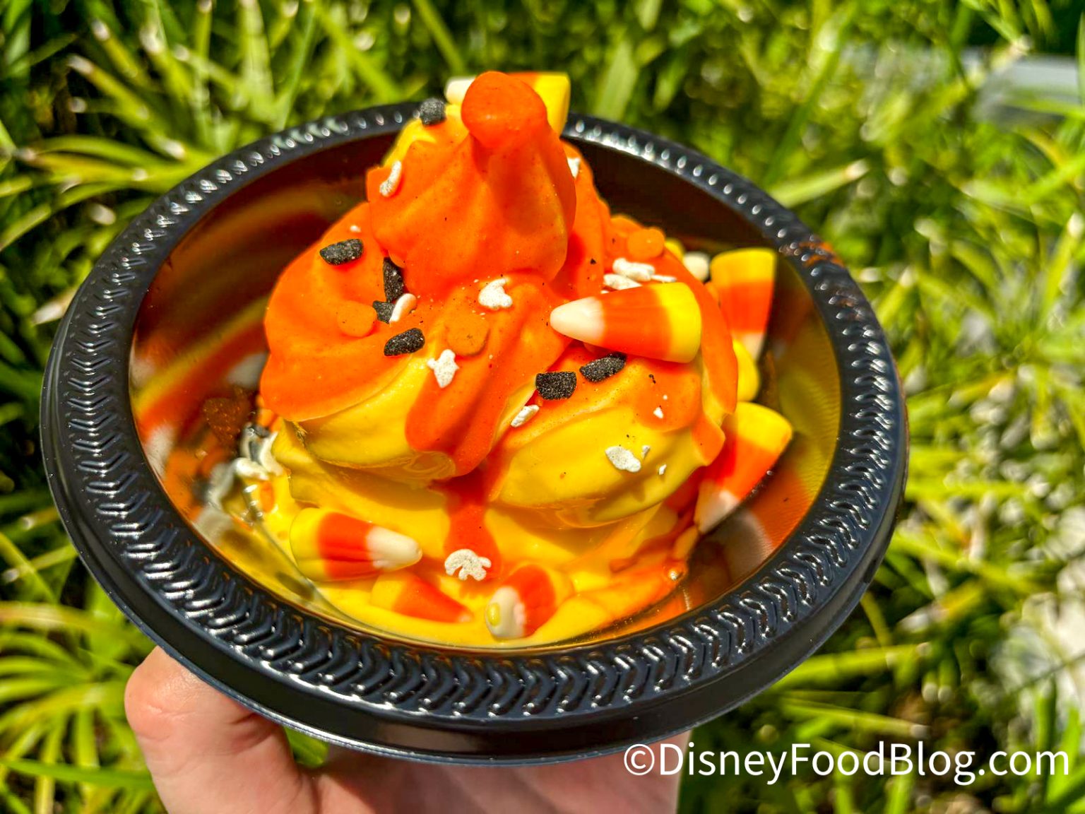 Photos AND Reviews: ALL the 2024 Fall and Halloween Treats in Disney ...