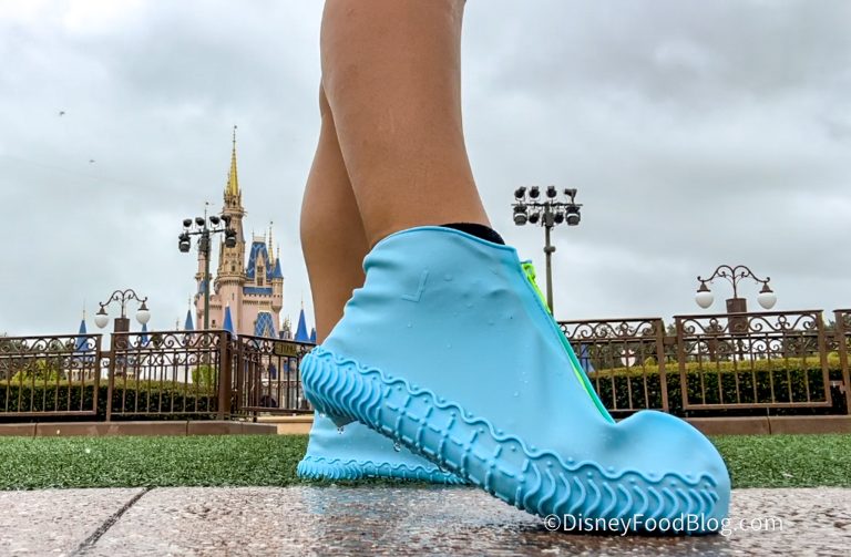 You're Gonna Look Really WEIRD Wearing These in Disney World — But ...