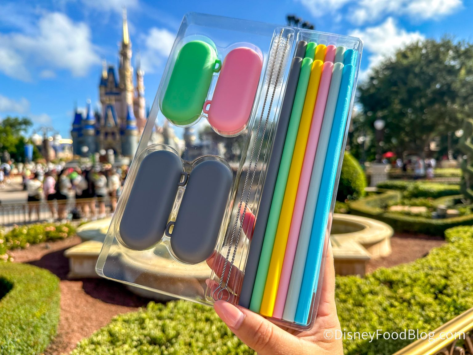 BREAKING: Disney Reveals NEW Free Dining Plan Offer | the disney food blog