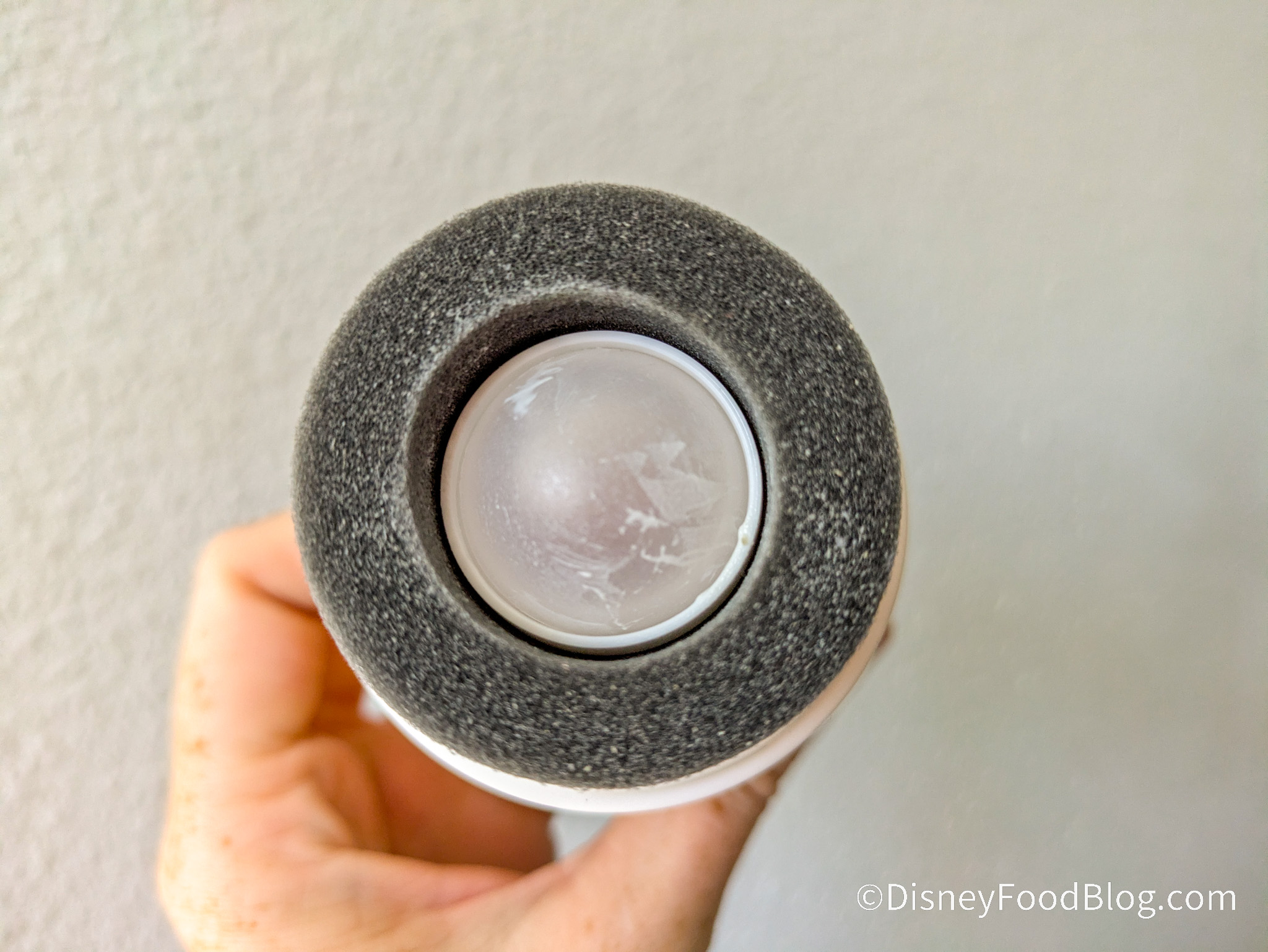 Do You NEED This Disney World Essential? No. Will It Make Your Life 10x ...