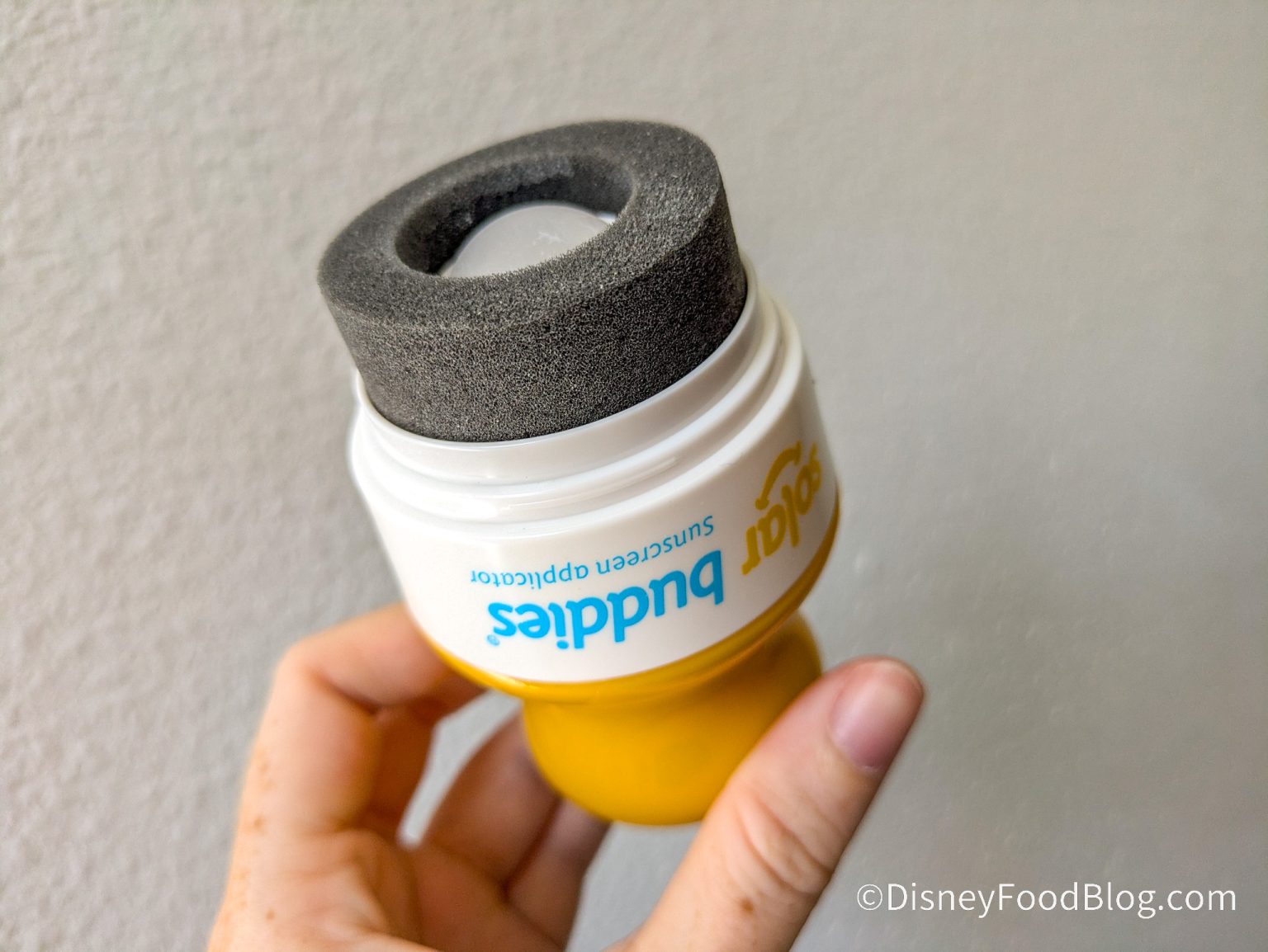 I Never Thought I Would Put This in My Disney World Park Bag, But It ...