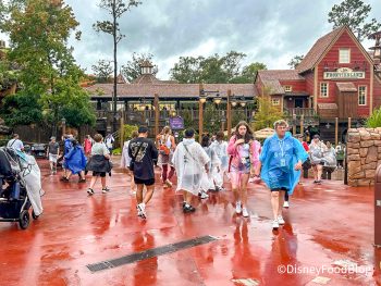 BREAKING: State of Emergency Declared for Disney World as Tropical ...
