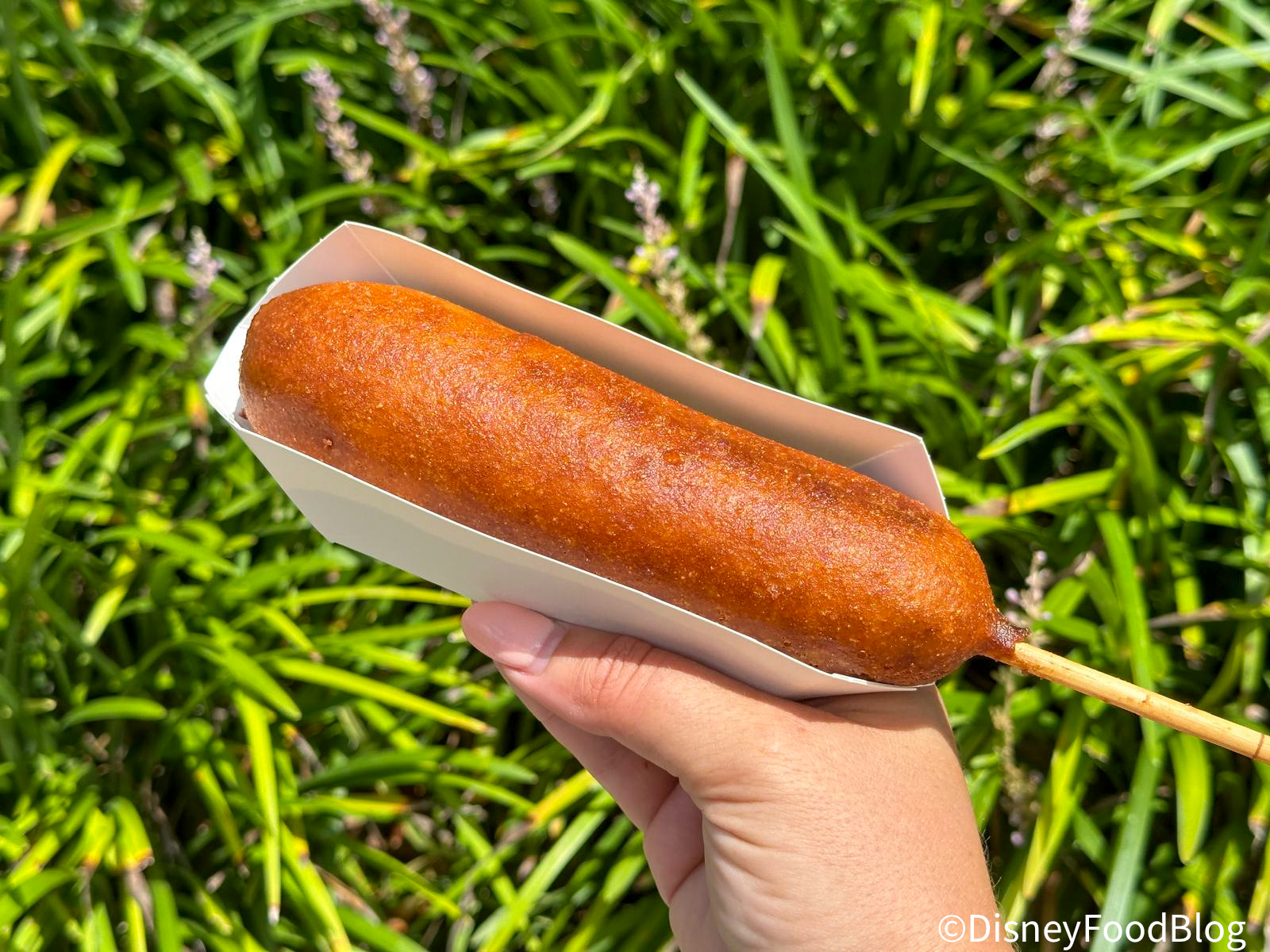 REVIEW: Is a Hand-Dipped Corn Dog at Disney World Worth the Hype? | the ...