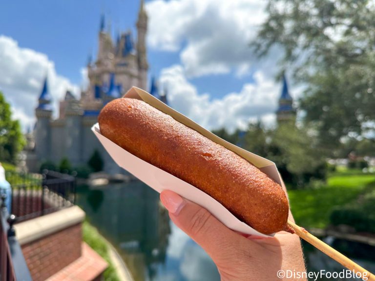 Snacks | the disney food blog