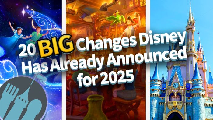 DFB Video: 20 BIG Changes Disney Has Already Announced for 2025 | the ...