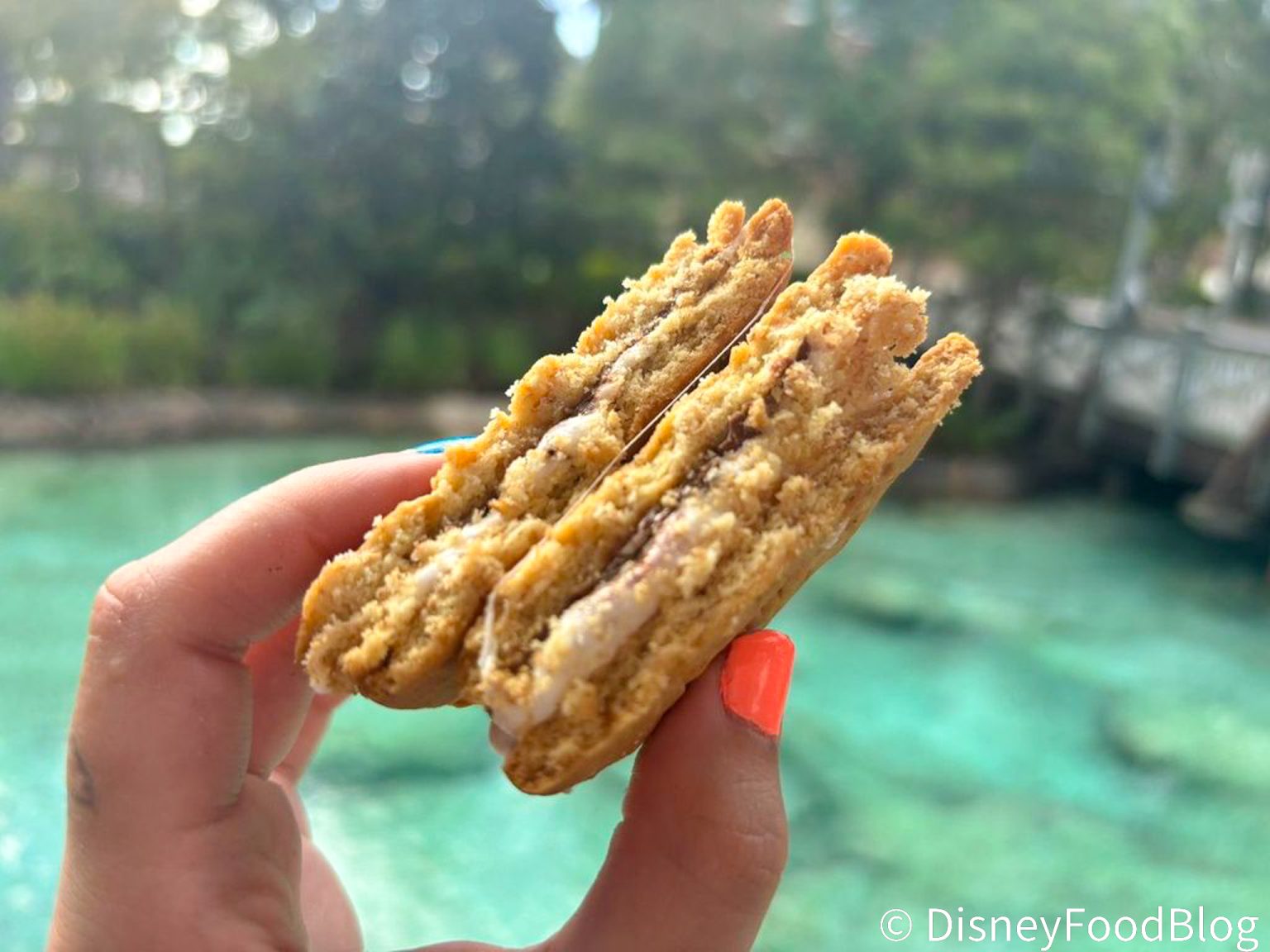 REVIEW: We Tried NEW Menu Items in Disney Springs…and Honestly, We Can ...