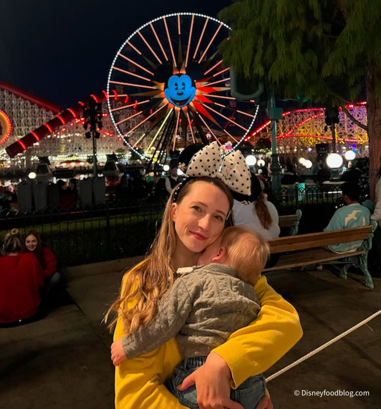 3 Lessons I Learned the Hard Way About Taking a Baby to Disney | the ...