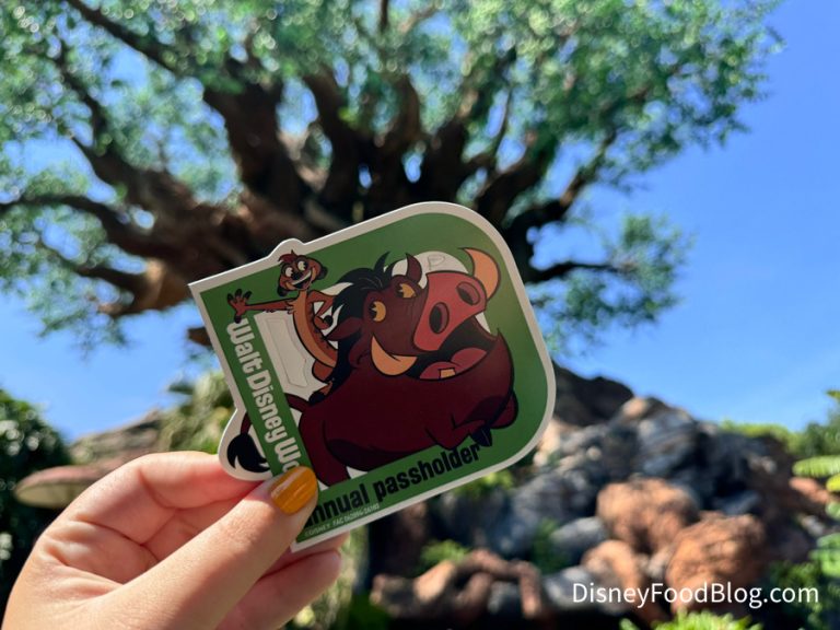 Disney World Announces the Return of 3 Annual Passholder Magnets | the ...