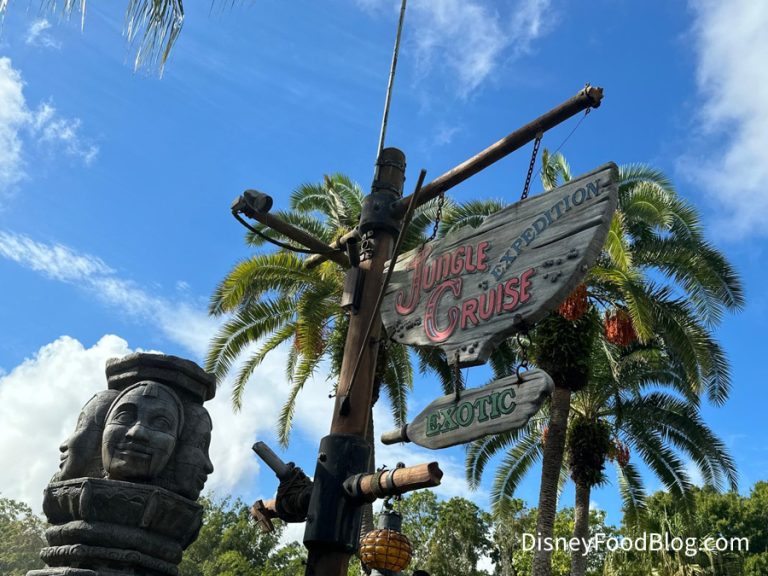 The Full List of All 48 Disney World Attractions Included with ...
