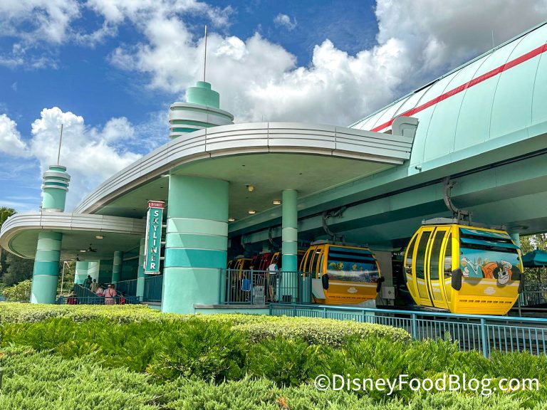 5 Tips For the NEW Disney Springs Bus Rule | the disney food blog