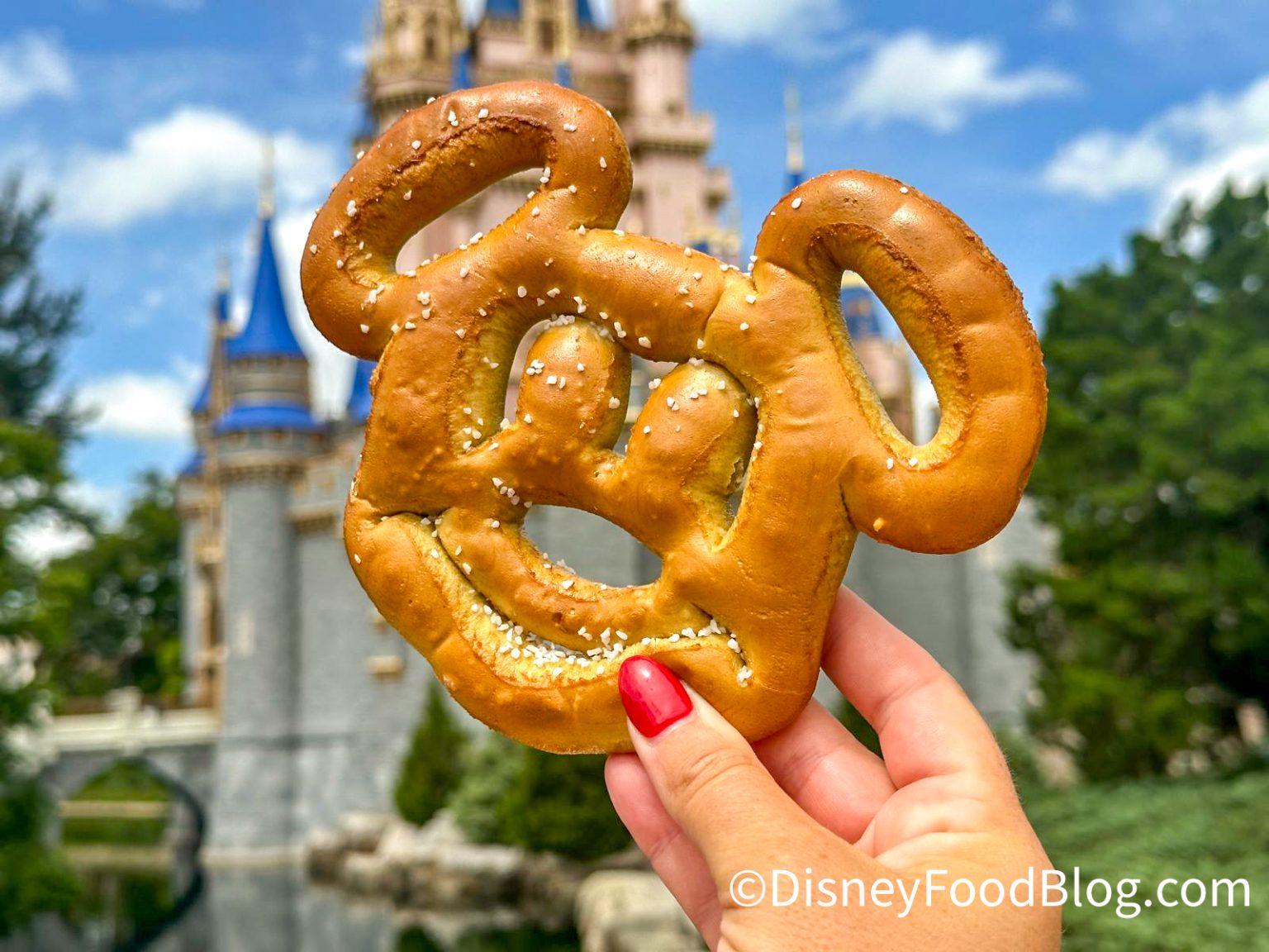 REVIEW: Why is NO ONE Talking About This $13 Snack in Disney World ...