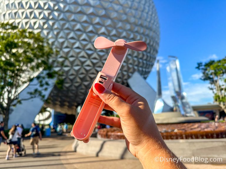 Disney Adults Are Singing the Praises of These 7 Park Essentials | the ...