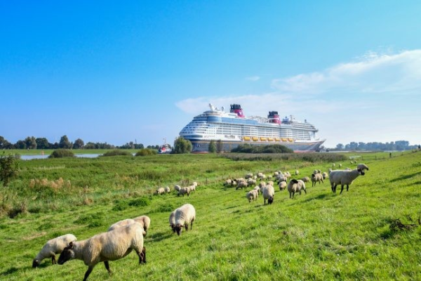 FULL GUIDE to 3 Types of Disney Cruise Line Ships (and the BIG ...
