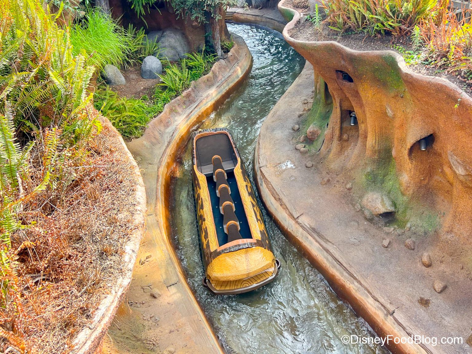 Disney Fans in Their 50s Refuse to Ride These 5 Disneyland Rides ...