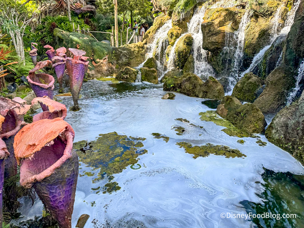 Ummm…What's in the Water in Pandora at Disney World, and Should We Be ...