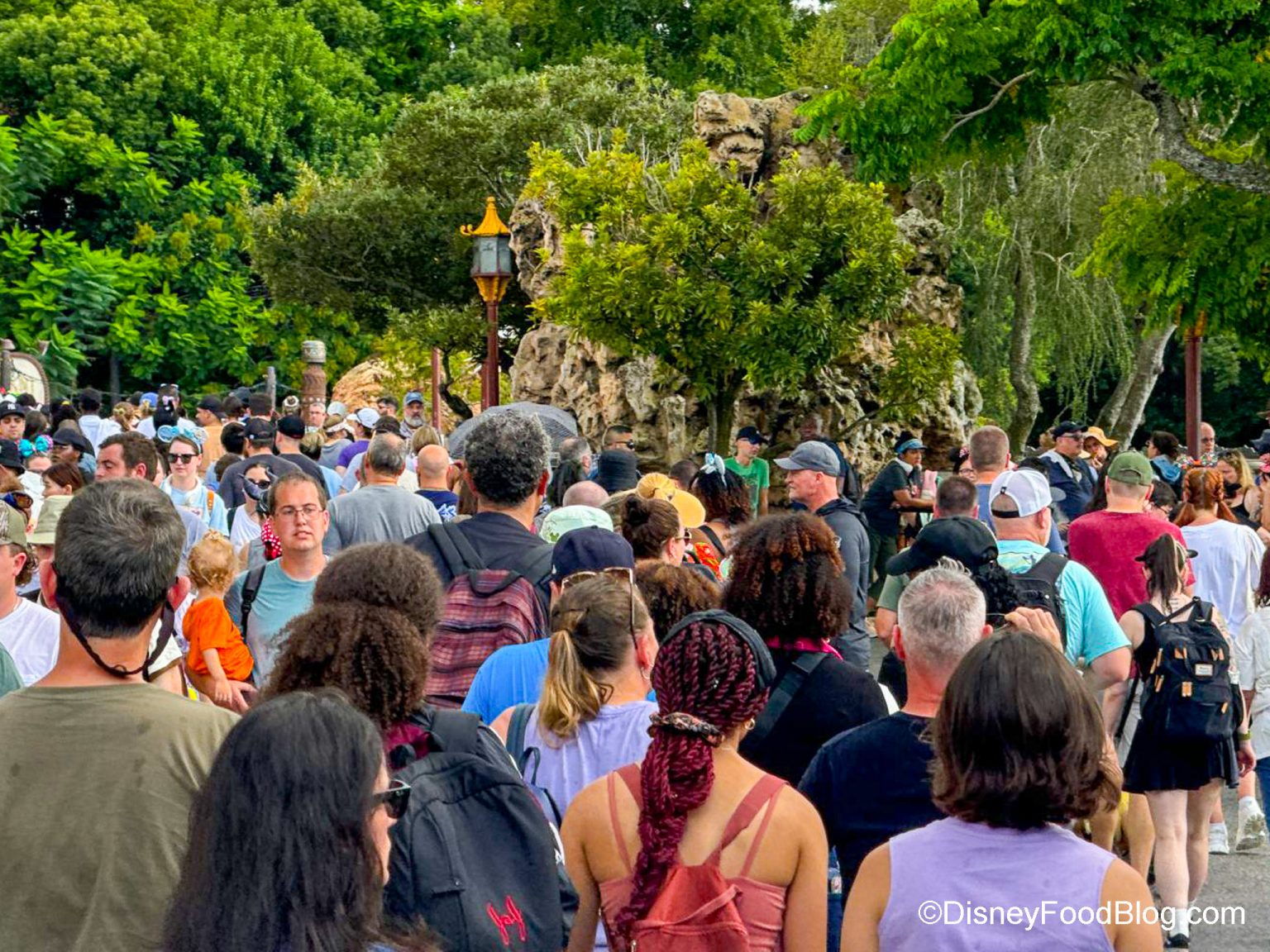 Tip from the DFB Guide: How to Outsmart the Heat and Crowds at Disney ...
