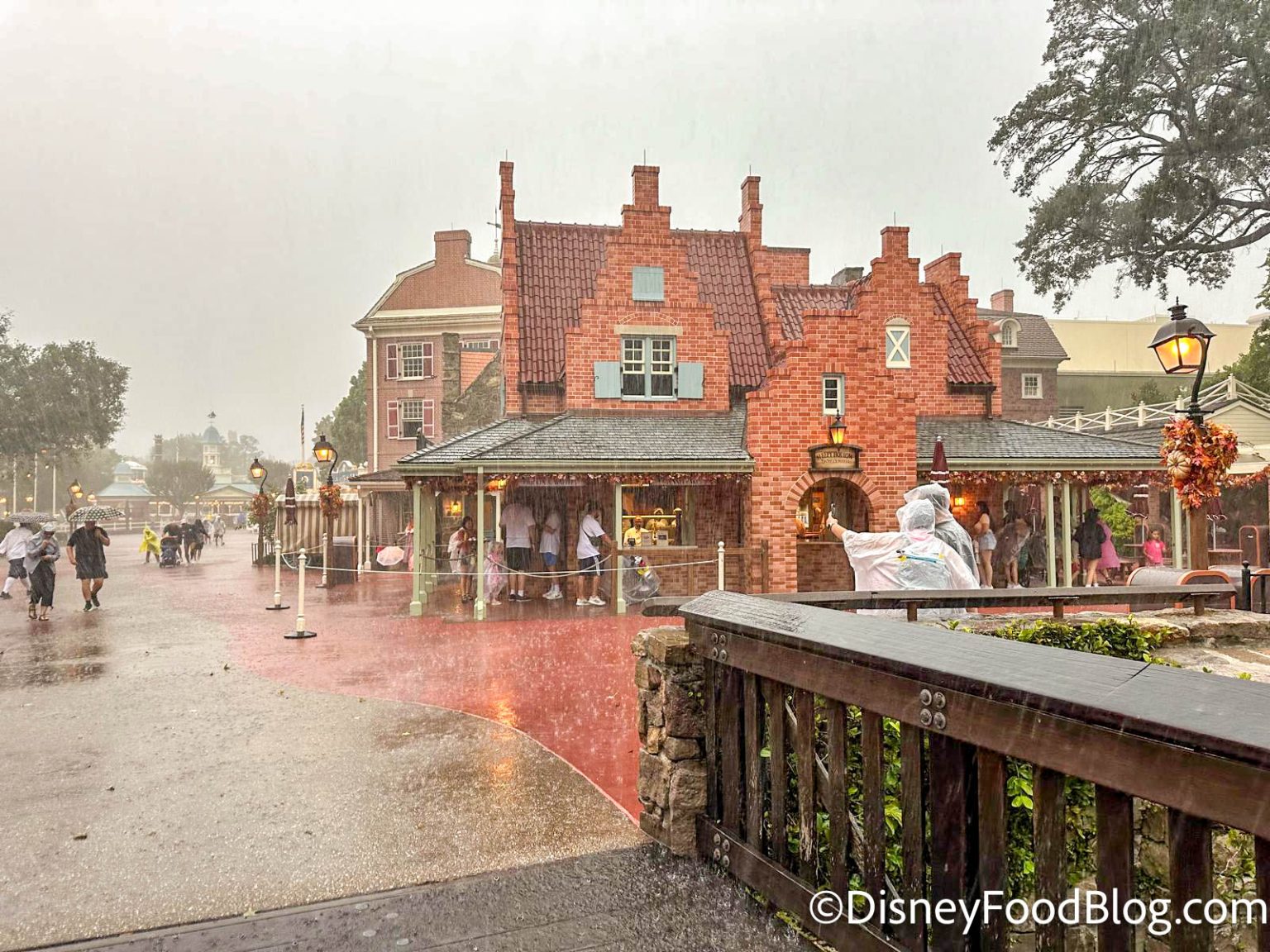 NEWS: Disney World Updates Hotel Cancelation Policy as Hurricane Milton ...