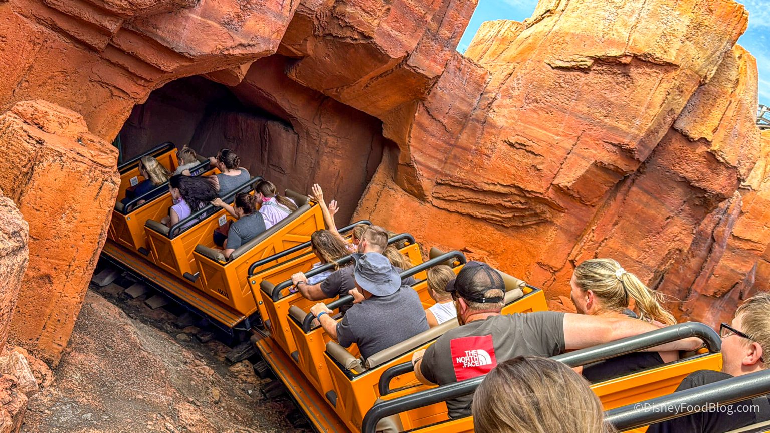 The One Frustrating Reason You Should SKIP Magic Kingdom in 2025 | the ...