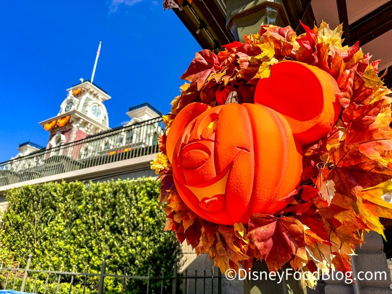 These 10 Tricks Will Change the Way You Do Magic Kingdom | the disney ...