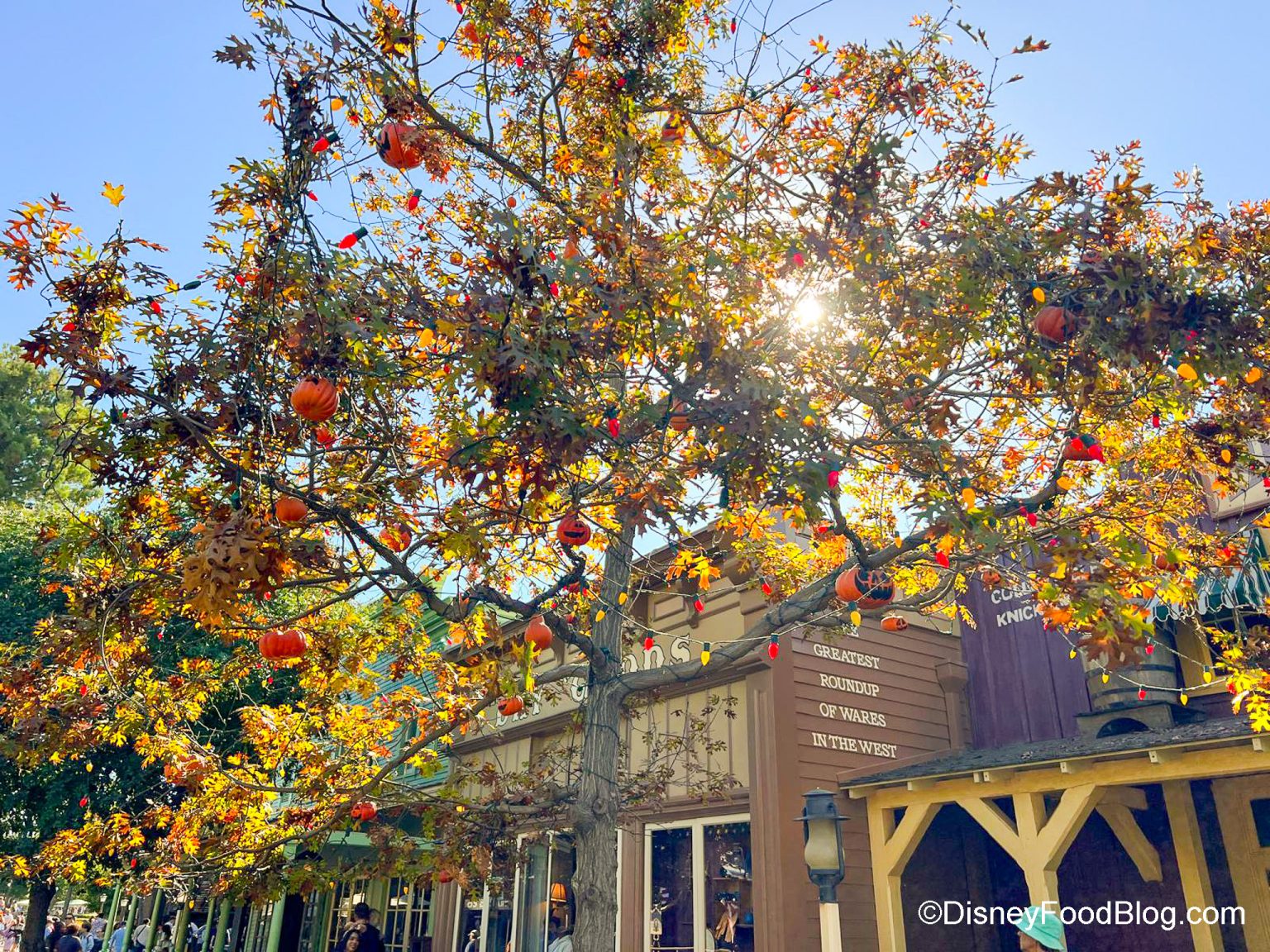 The Secret History Behind Disney's Halloween Tree | the disney food blog