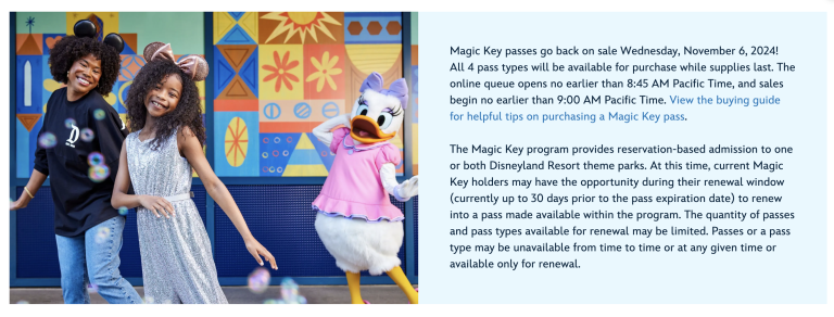 DATE ANNOUNCED! Disney Confirms Magic Key Passes Will Go on Sale SOON ...
