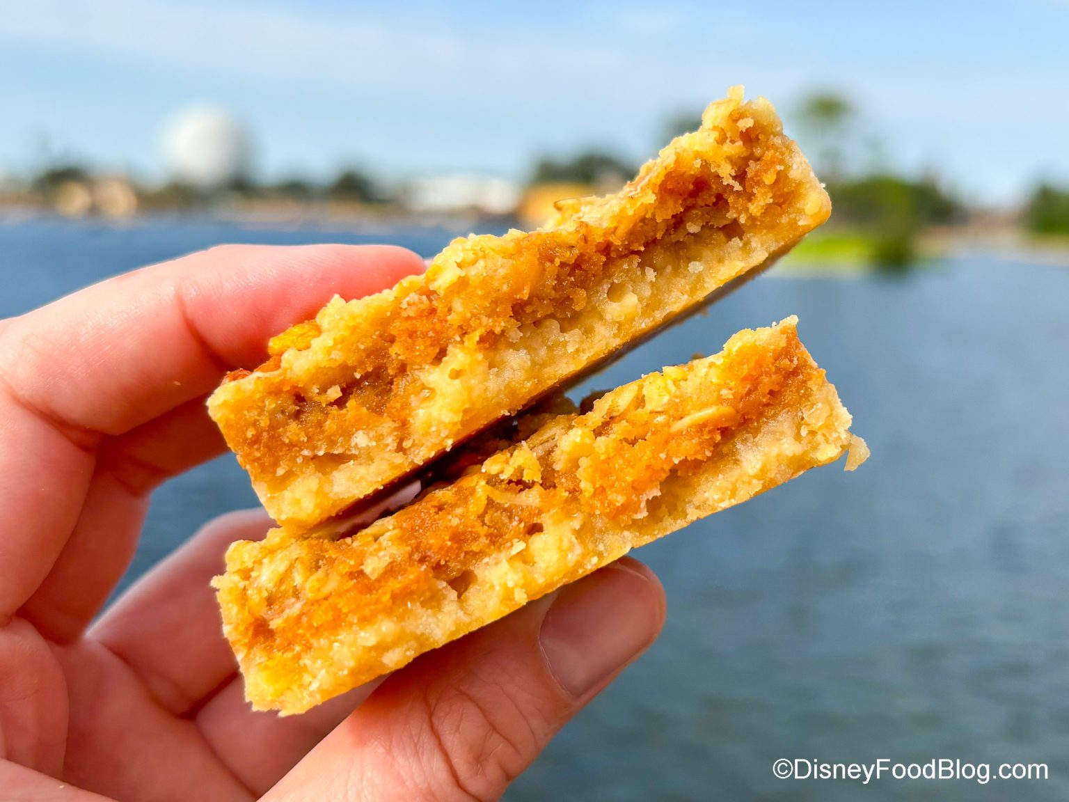 REVIEW: The NEW EPCOT Treat We're Going To Order A MILLION TIMES | the ...
