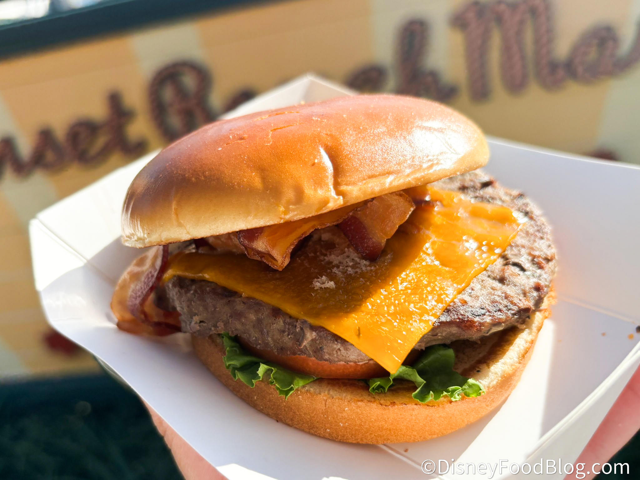 REVIEW: We Tried NEW Buffalo Fries in Disney World! | the disney food blog