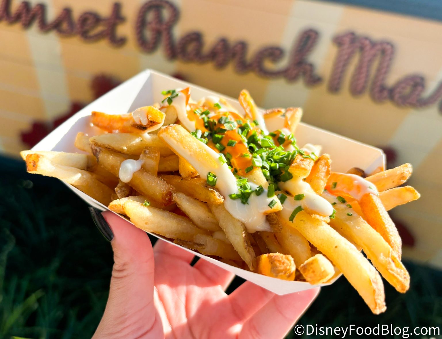 REVIEW: We Tried NEW Buffalo Fries in Disney World! | the disney food blog
