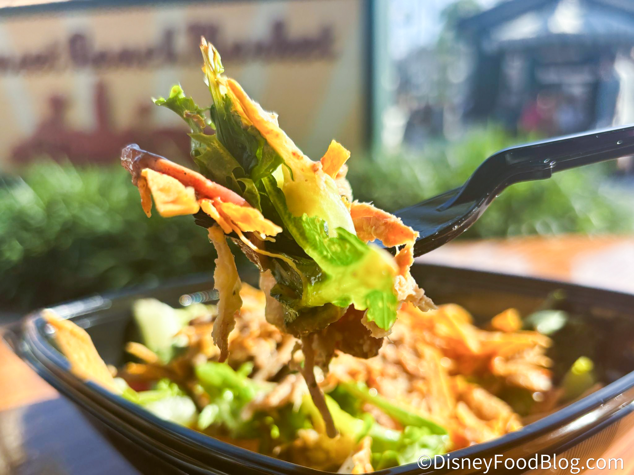 REVIEW: We Tried NEW Buffalo Fries in Disney World! | the disney food blog