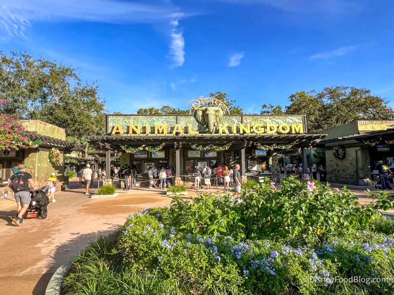 What You Need To Know About Disney World's Newest Virtual Queue | the ...