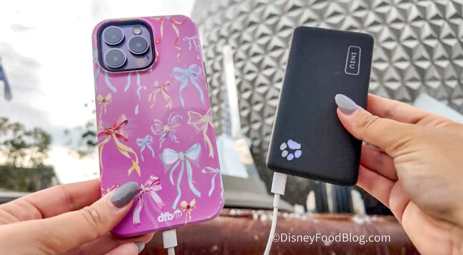 4 Rules You Need to Know Before Bringing a Charger to Disney World ...