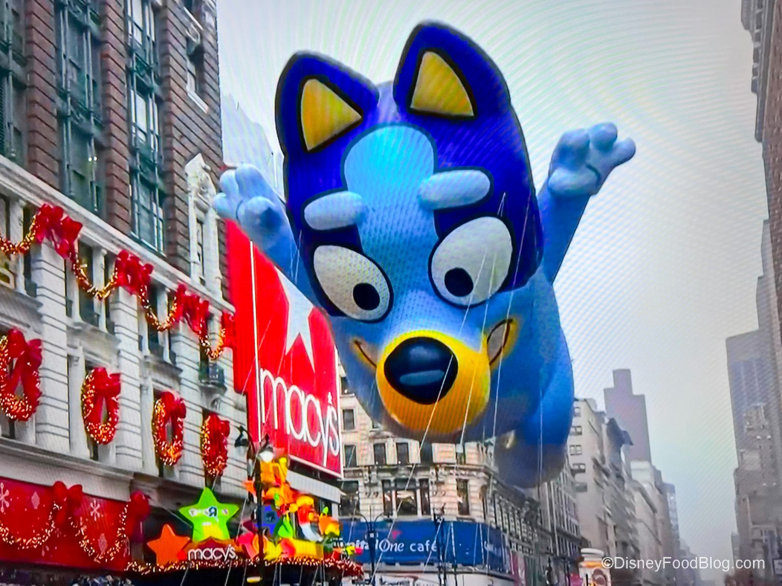 IT'S OFFICIAL! 'Bluey' Is Coming to Disney World! | the disney food blog