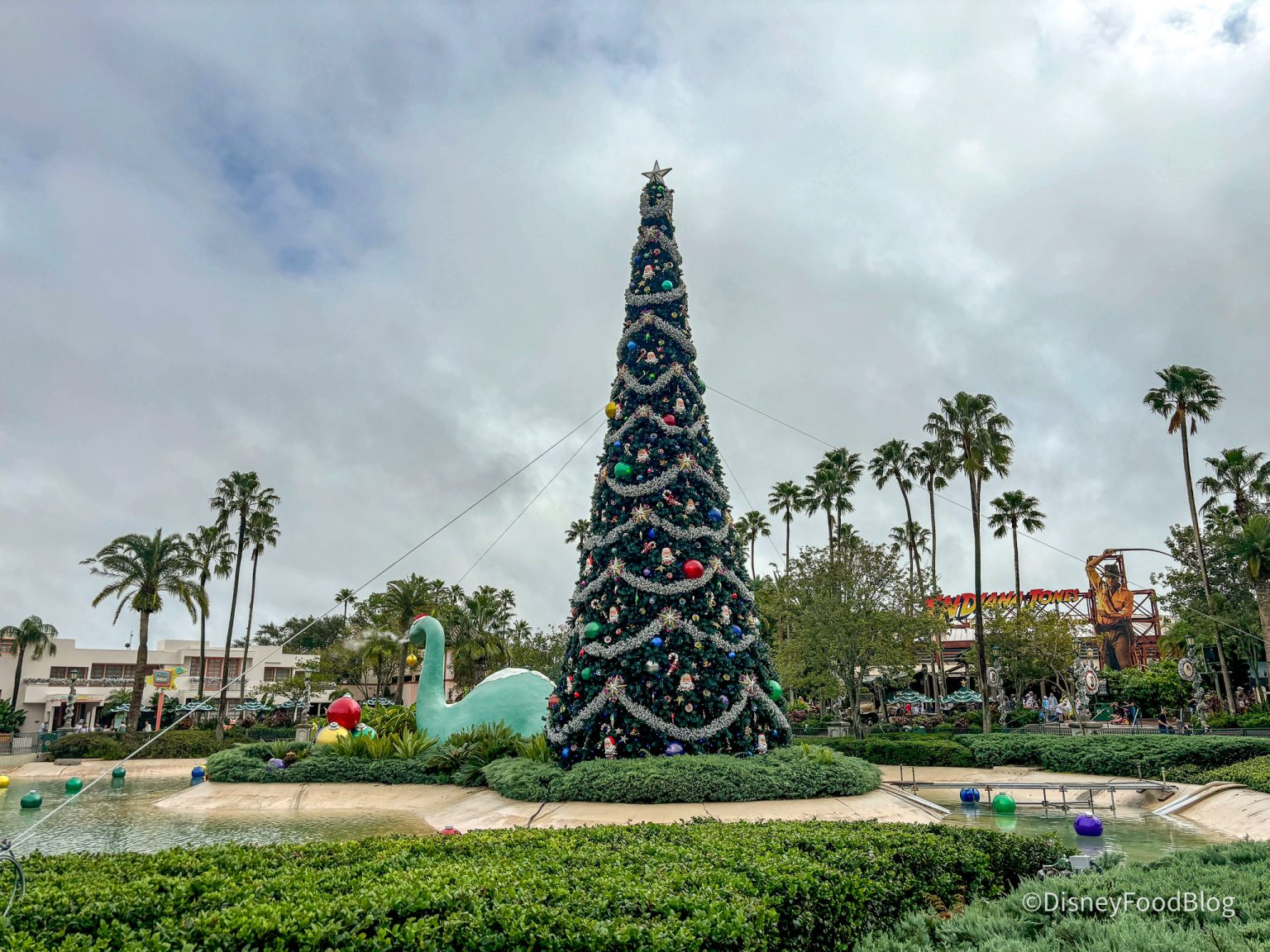 ALERT! The HUGE Christmas Tree Has ARRIVED at Disney's Hollywood ...