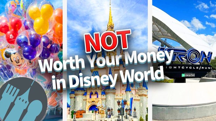 DFB Video: 9 Things That Are NOT Worth Your Money at Disney World | the ...