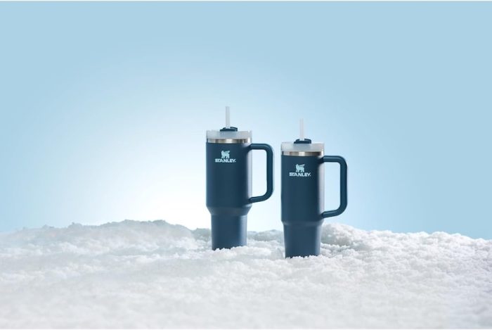 An Exclusive New Stanley Collection Just Launched On Amazon | the ...