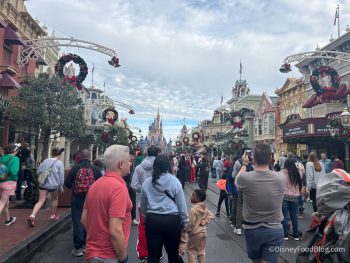 Christmas Crowds Have Arrived in Disney World — Check Them Out With Us ...