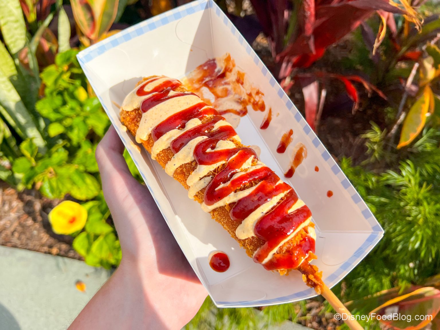 REVIEW: We Literally Gasped When This Disney Cast Member Served Our ...
