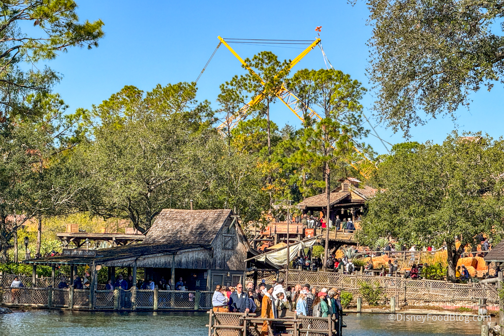 What's That Giant Crane Doing in Magic Kingdom, and What's It For ...