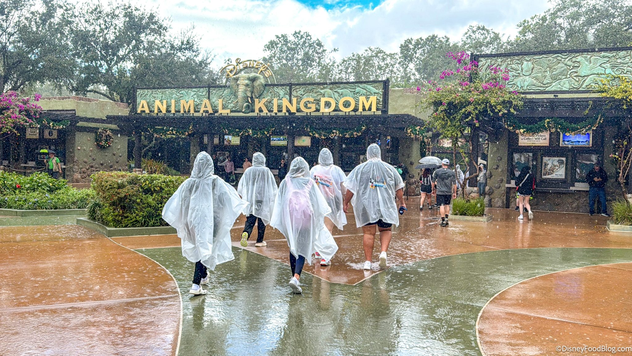 Our Favorite Disney World Poncho Is 41% Off Today | the disney food blog
